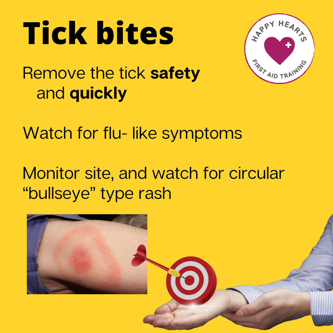 Parents! Everything you need to know about ticks - Happy Hearts First Aid